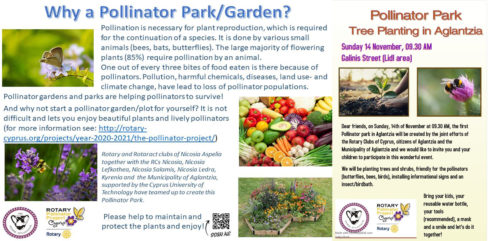 The Pollinator Project | Rotary Clubs of Cyprus